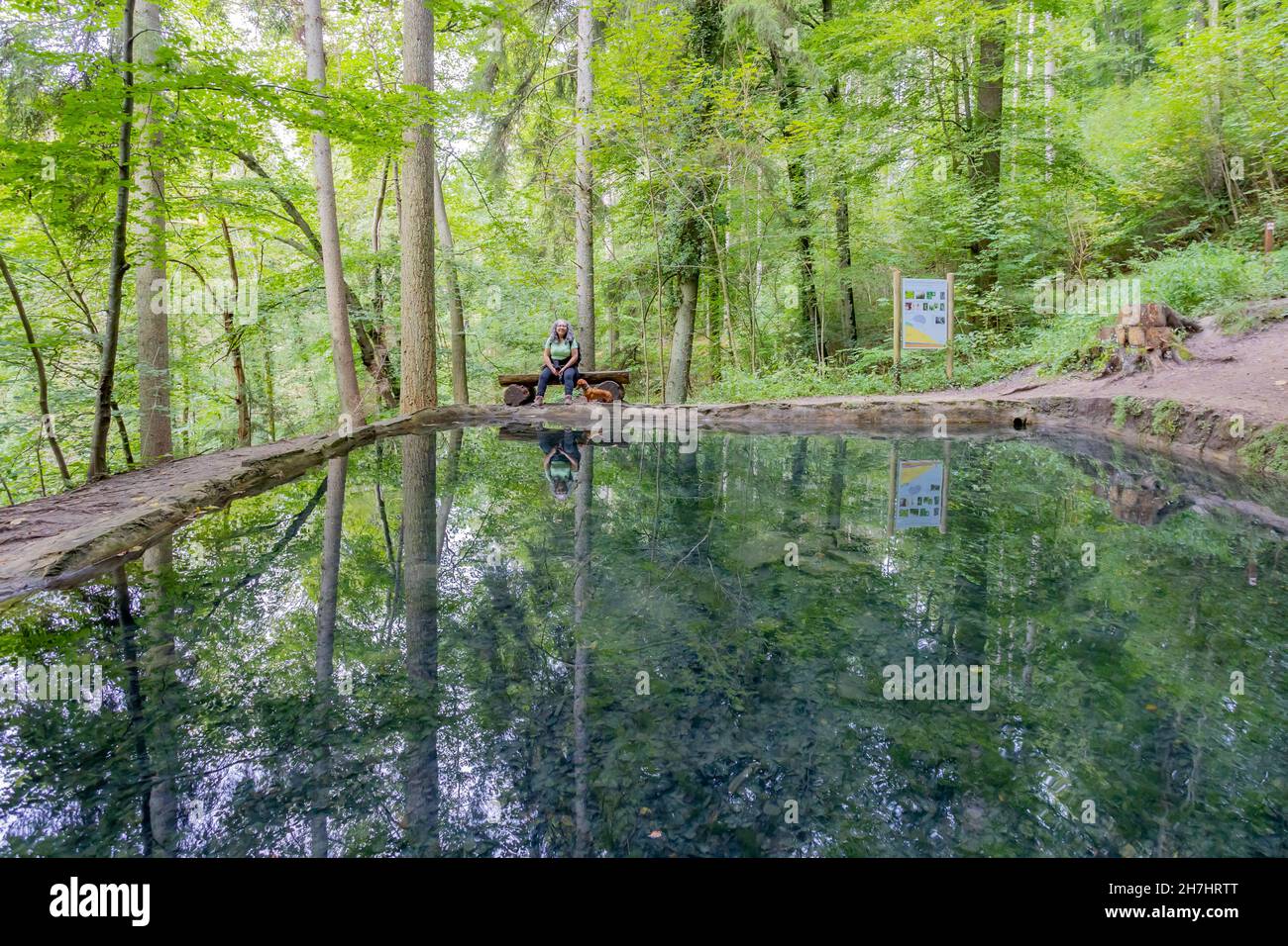 Mullerthal Trail, spring of crystalline calcareous water, impressive ...