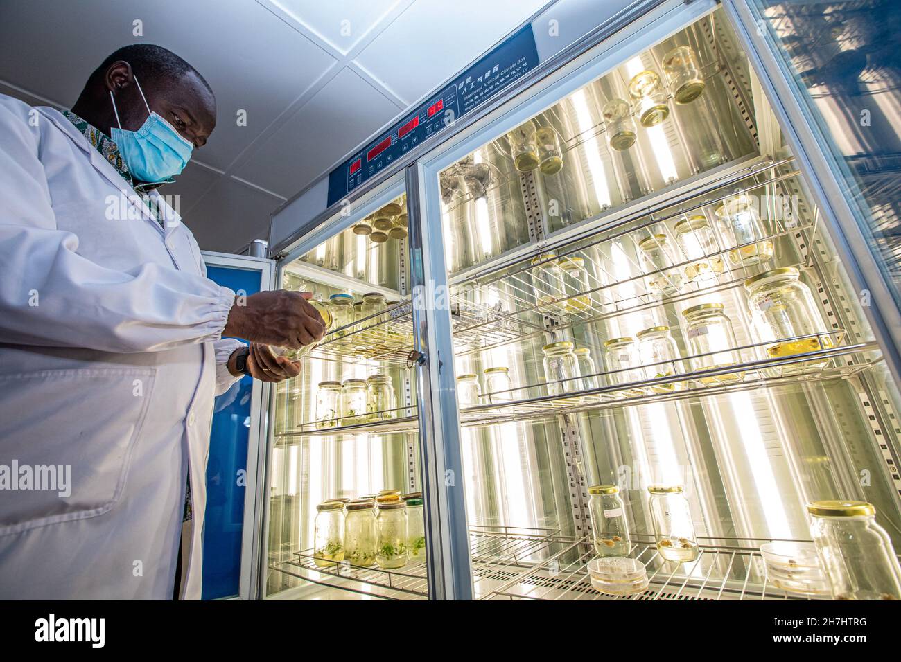 Kenya agricultural research institute hi-res stock photography and ...