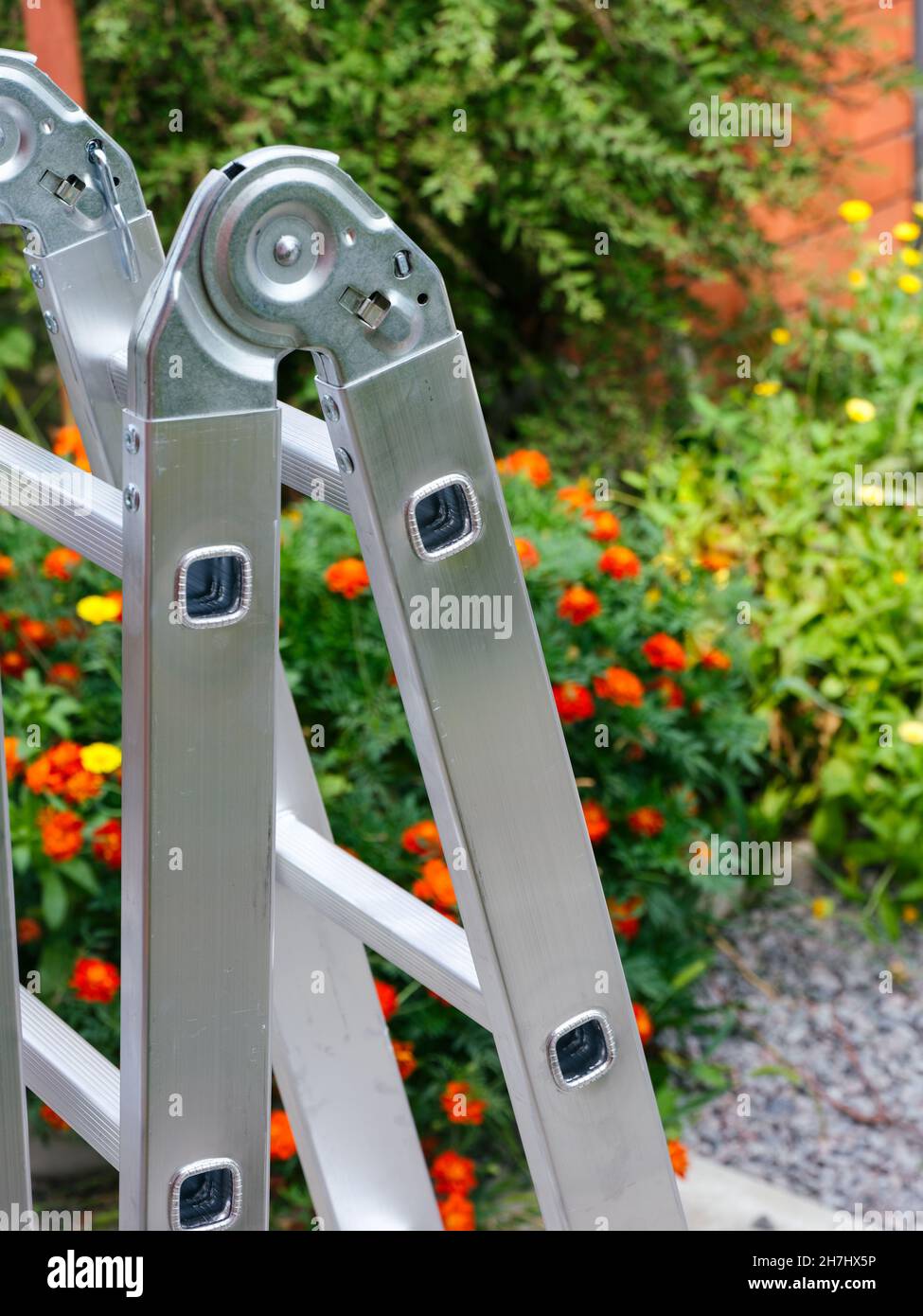 Aluminium multipurpose ladder standing outside. Close-up Stock Photo ...