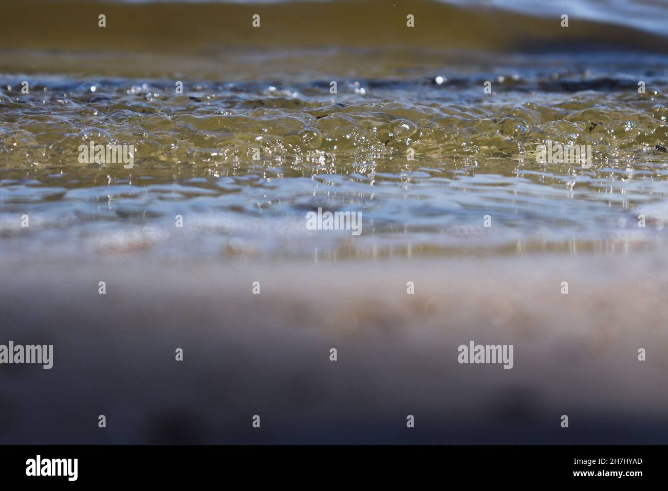 Freshwater river ecosystem hi-res stock photography and images - Alamy