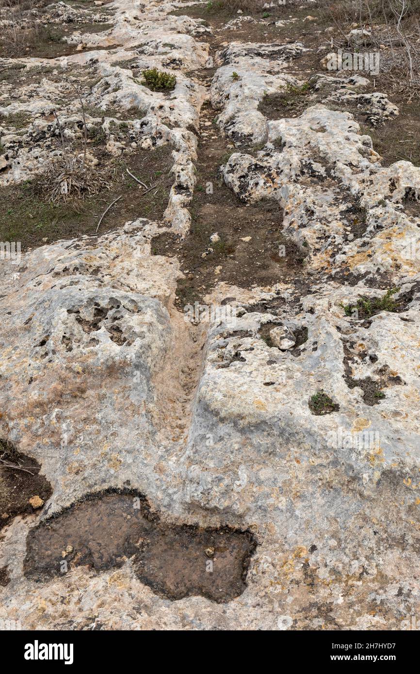 The Mysterious Cart Ruts carved in the rock at Clapham Junction in ...