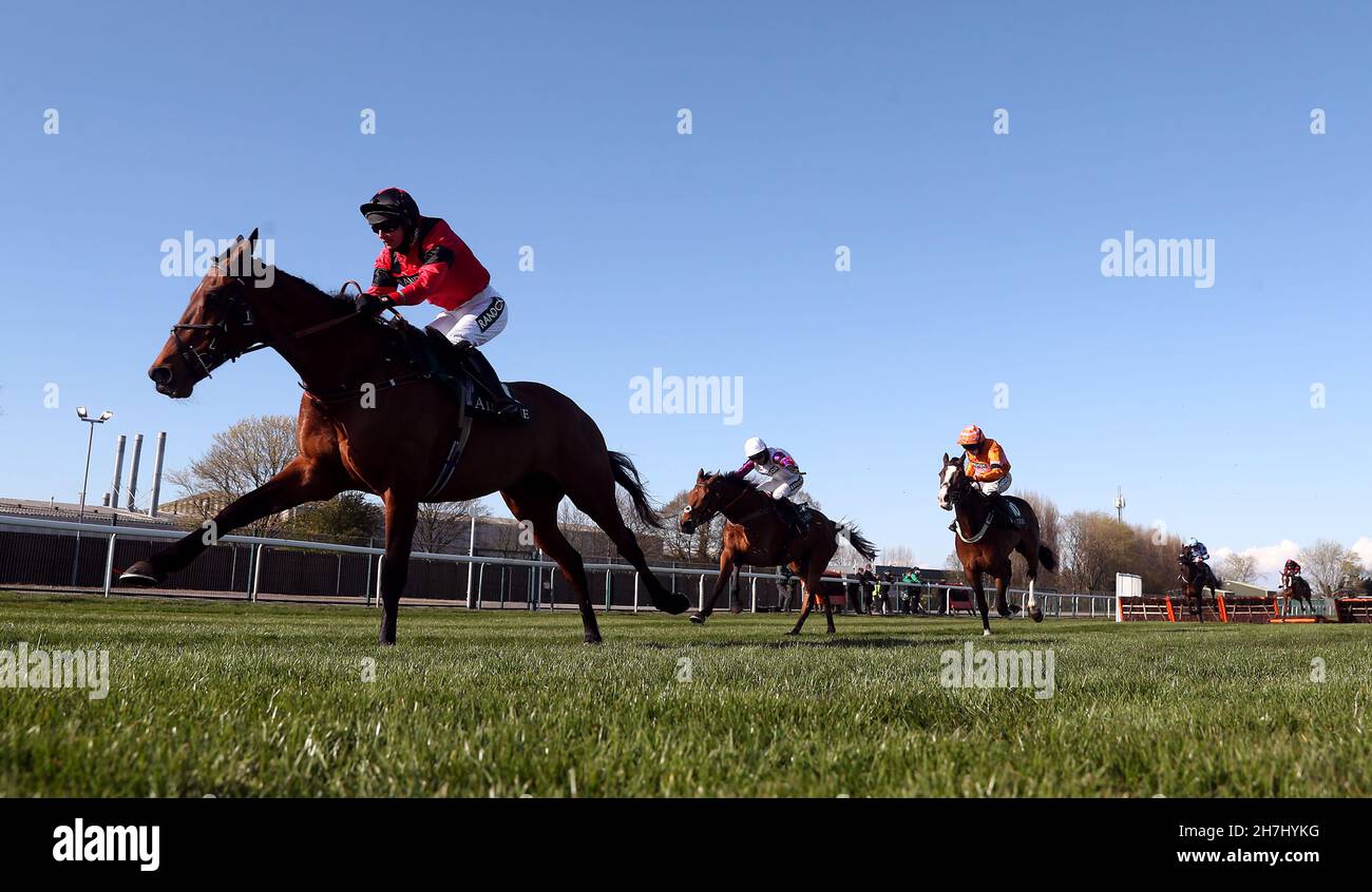 John derek horse hi-res stock photography and images - Alamy