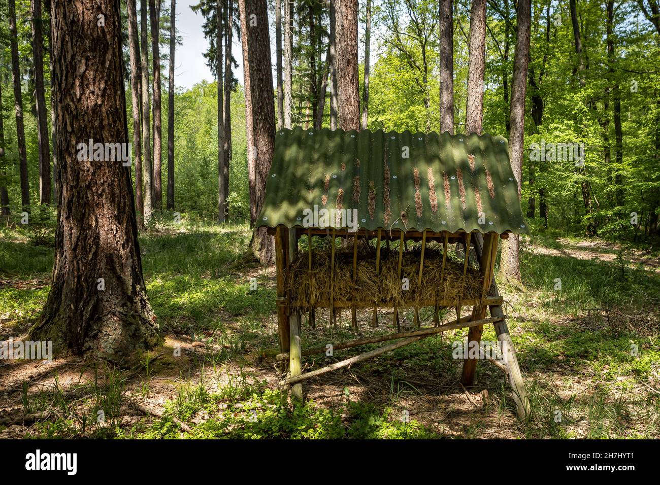 Forester stand hi-res stock photography and images - Alamy
