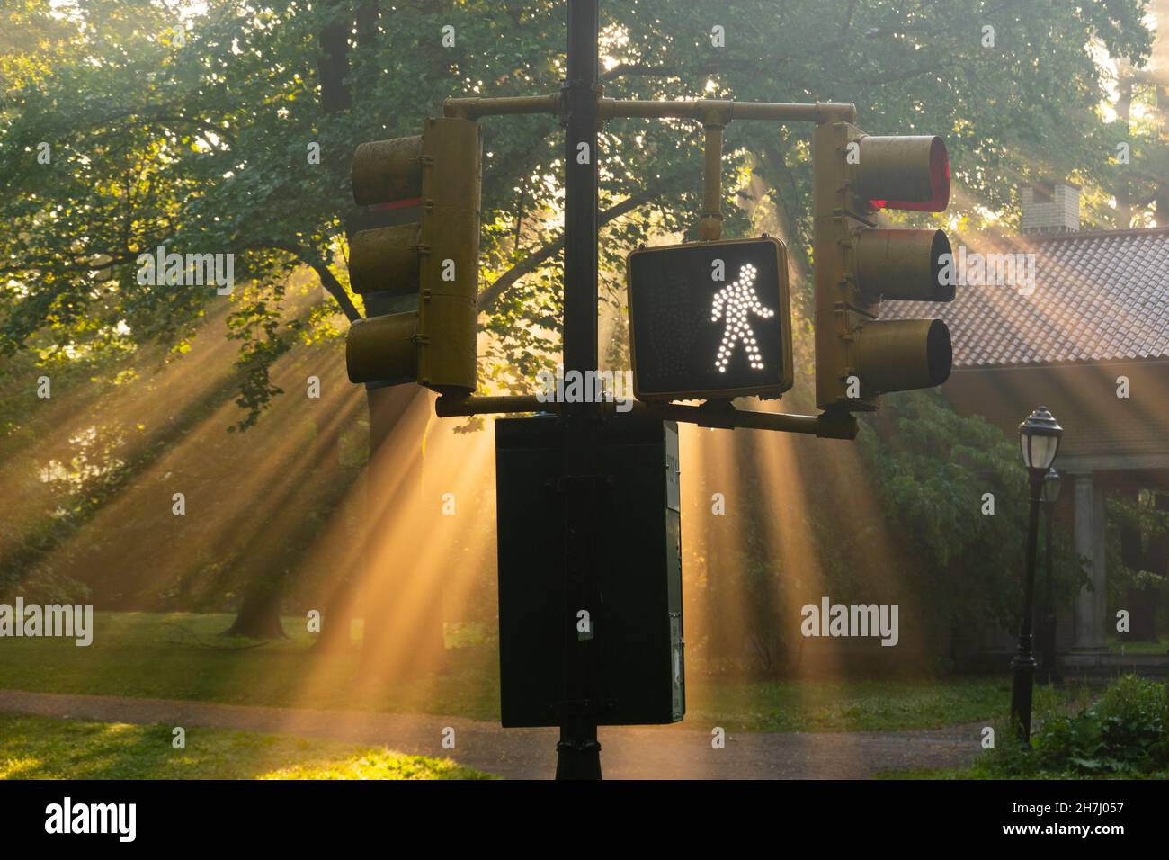 Cross light crosslight walk sign hi-res stock photography and images ...