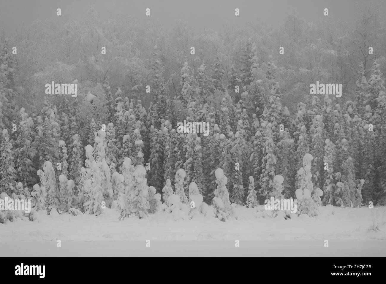 Snow covered landscape along Black and White Stock Photos & Images - Alamy
