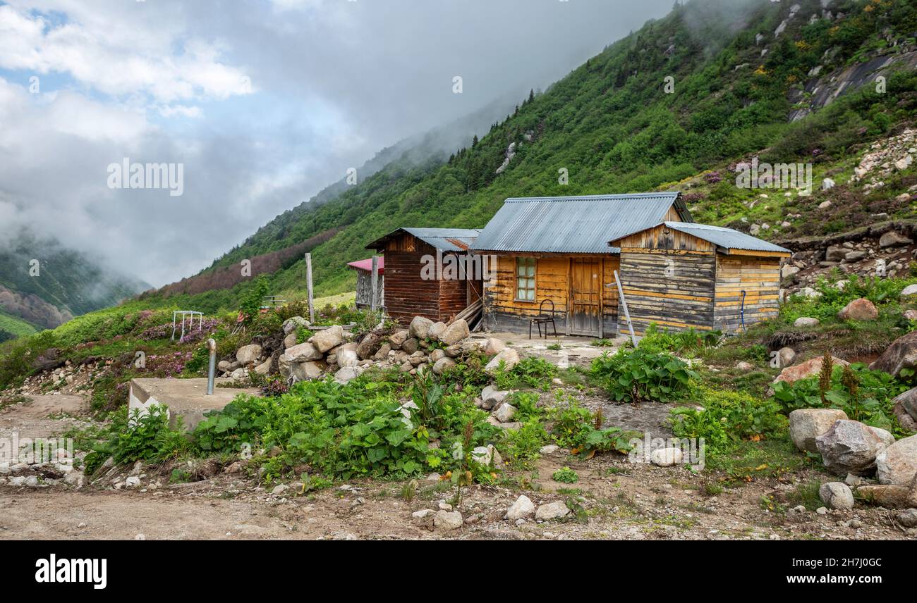 Spring in Tunca Valley Nature Park, Rize, Turkey Stock Photo - Alamy