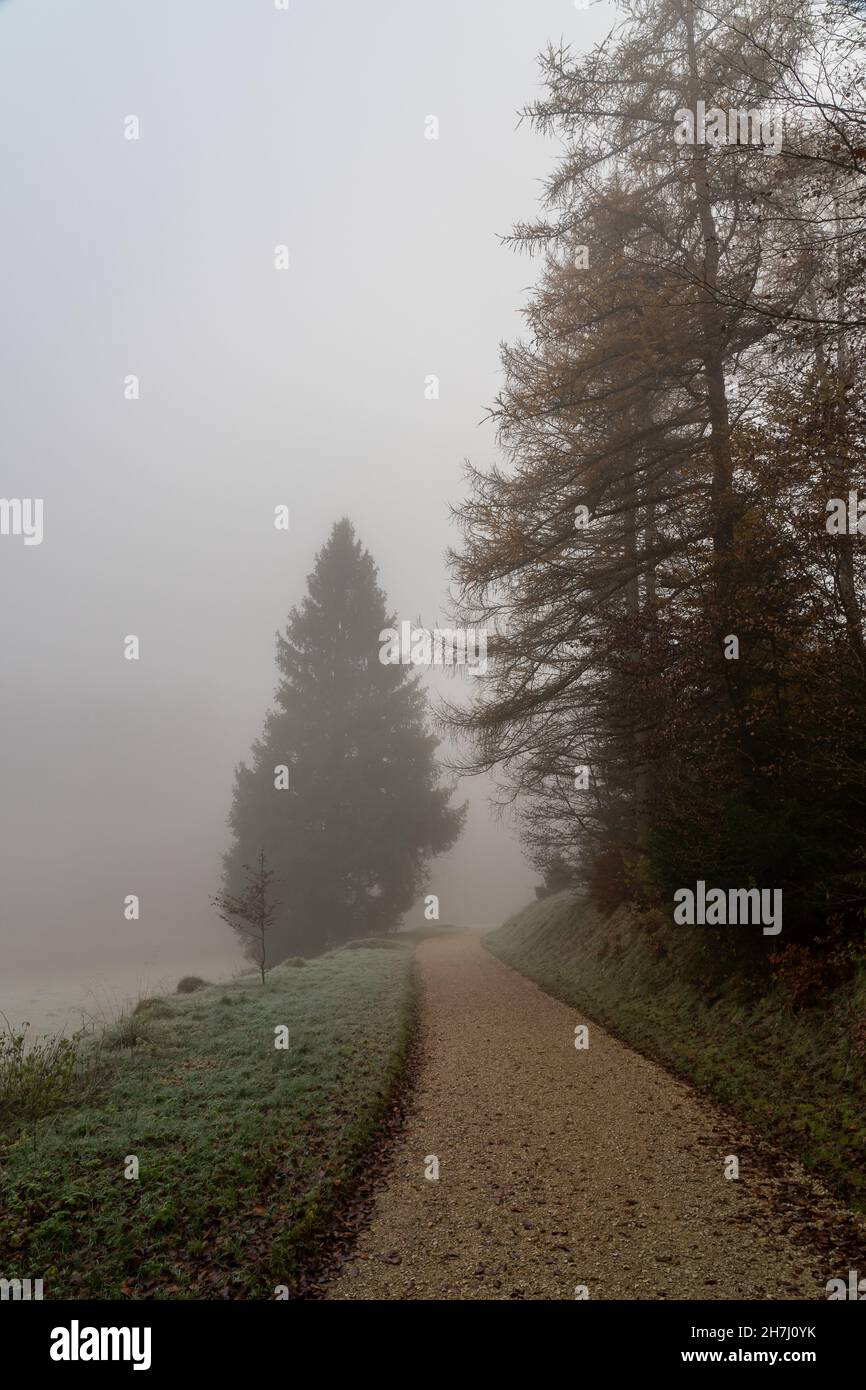 scary frosty foggy path Stock Photo - Alamy