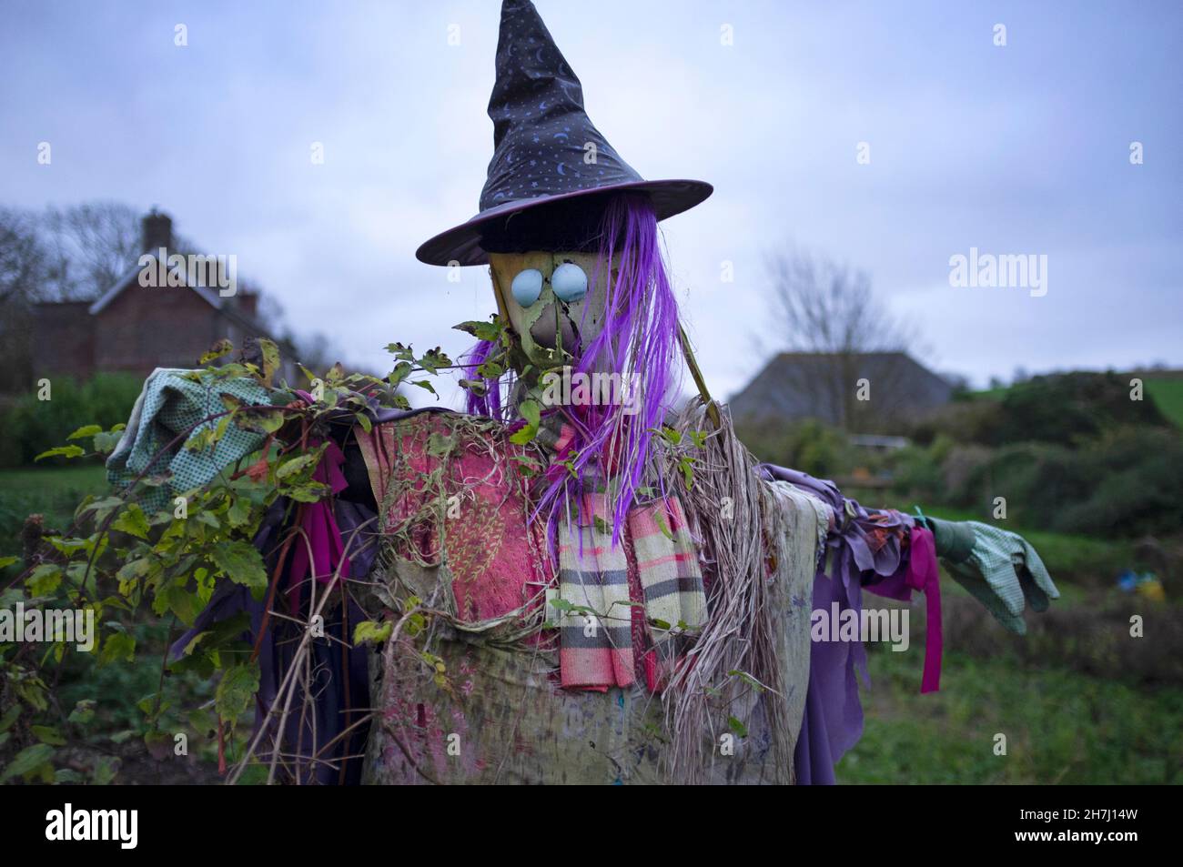 A witch scarecrow in an allotment on the Sussex South Downs Stock Photo ...