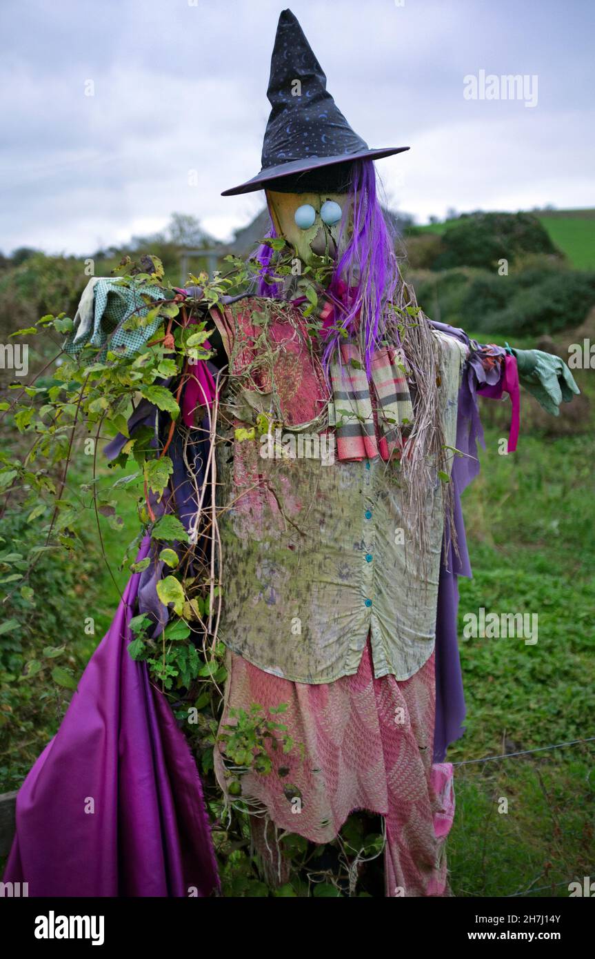 A witch scarecrow in an allotment on the Sussex South Downs Stock Photo ...