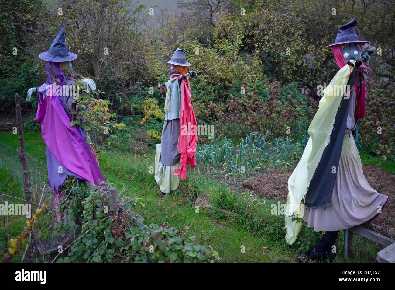 Witchcraft england hi-res stock photography and images - Alamy