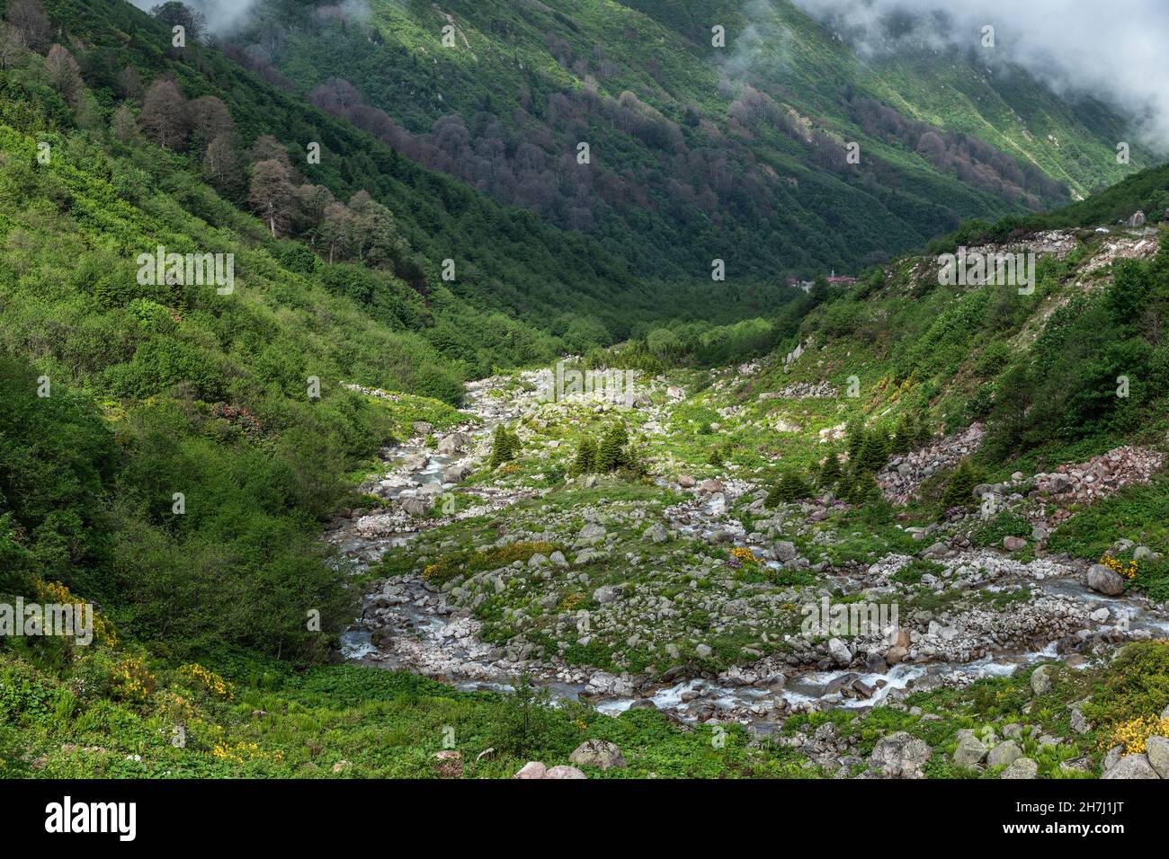 Spring in Tunca Valley Nature Park, Rize, Turkey Stock Photo - Alamy