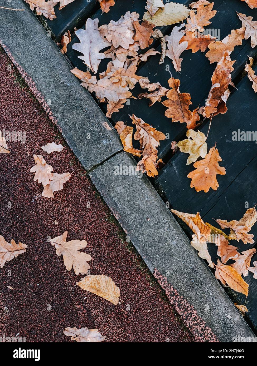 Vertical shot of autumn leaves on the ground Stock Photo - Alamy