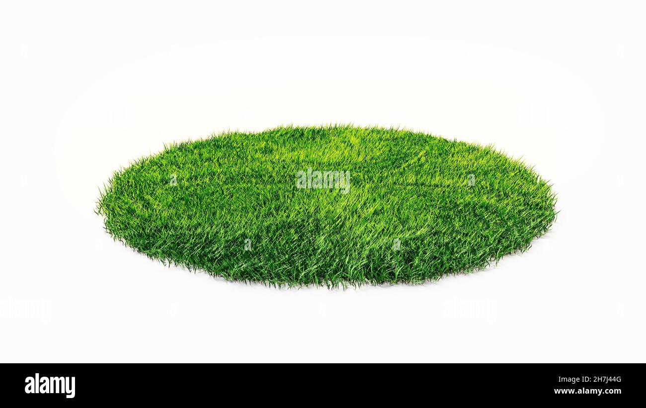 Circle of a green grass isolated on white background Stock Photo - Alamy
