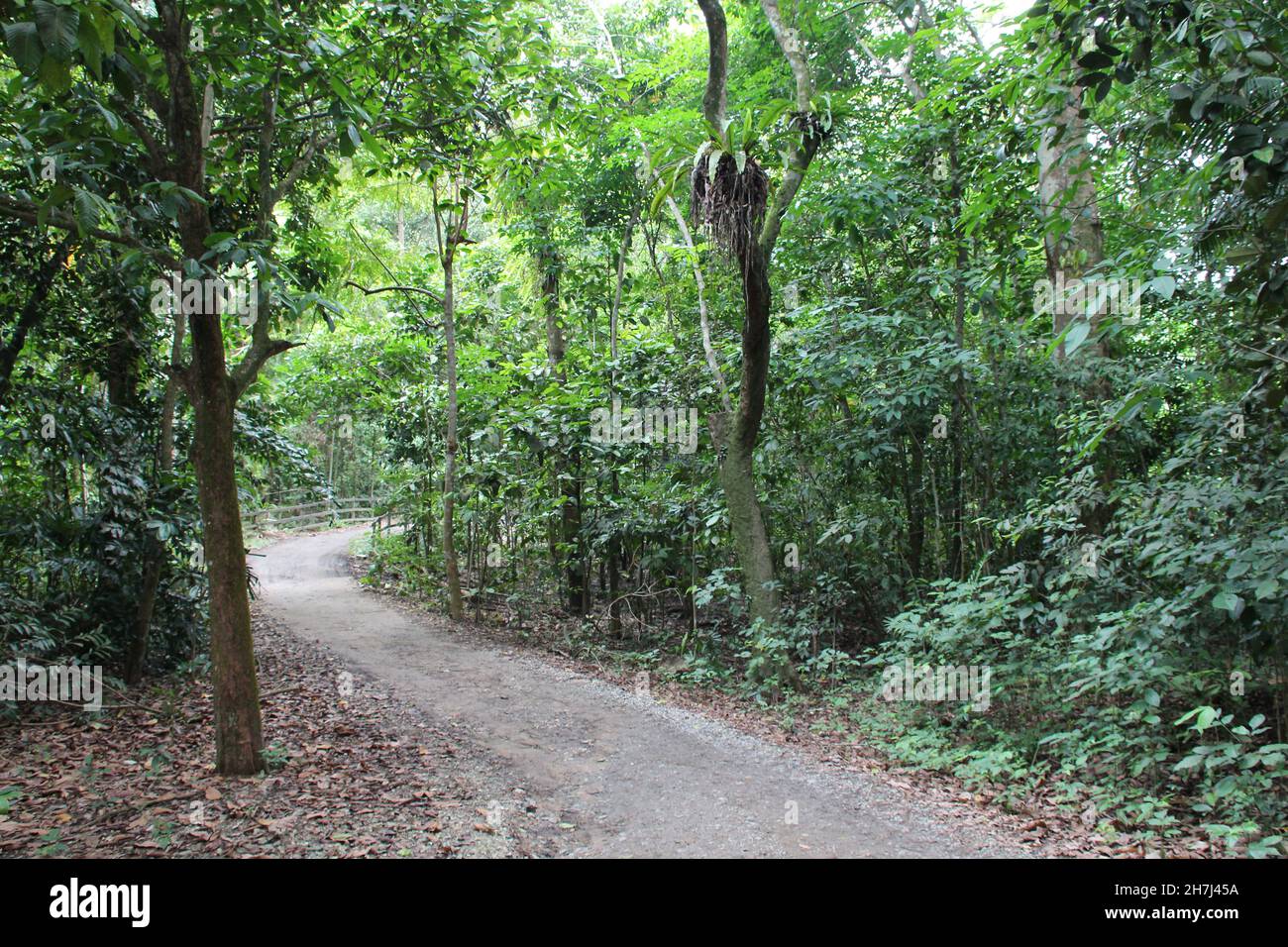 landscape at ubin island in singapore Stock Photo - Alamy