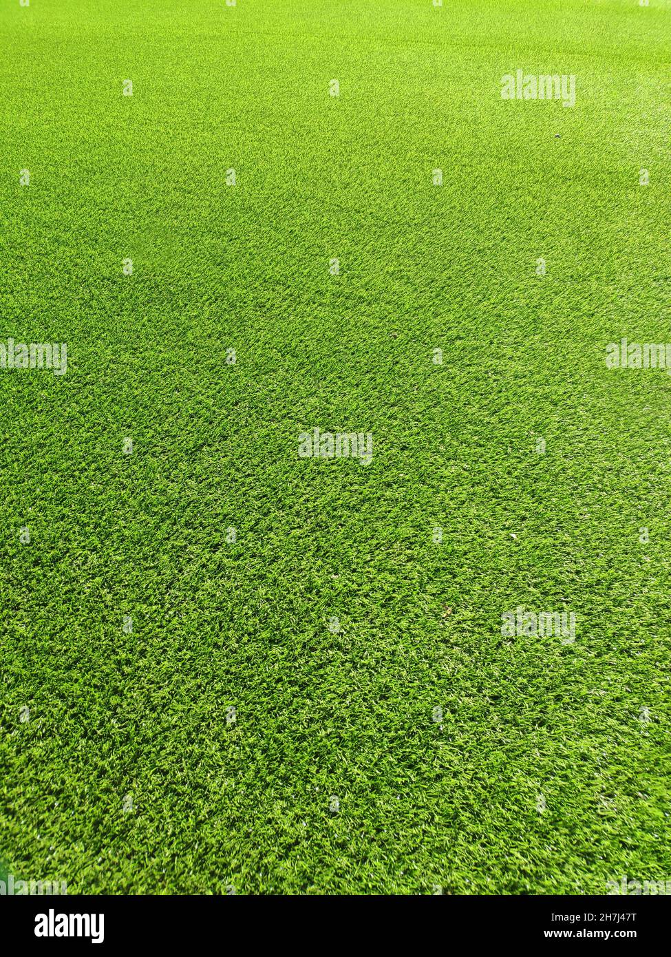 Green grass field pattern, grass background photo Stock Photo - Alamy