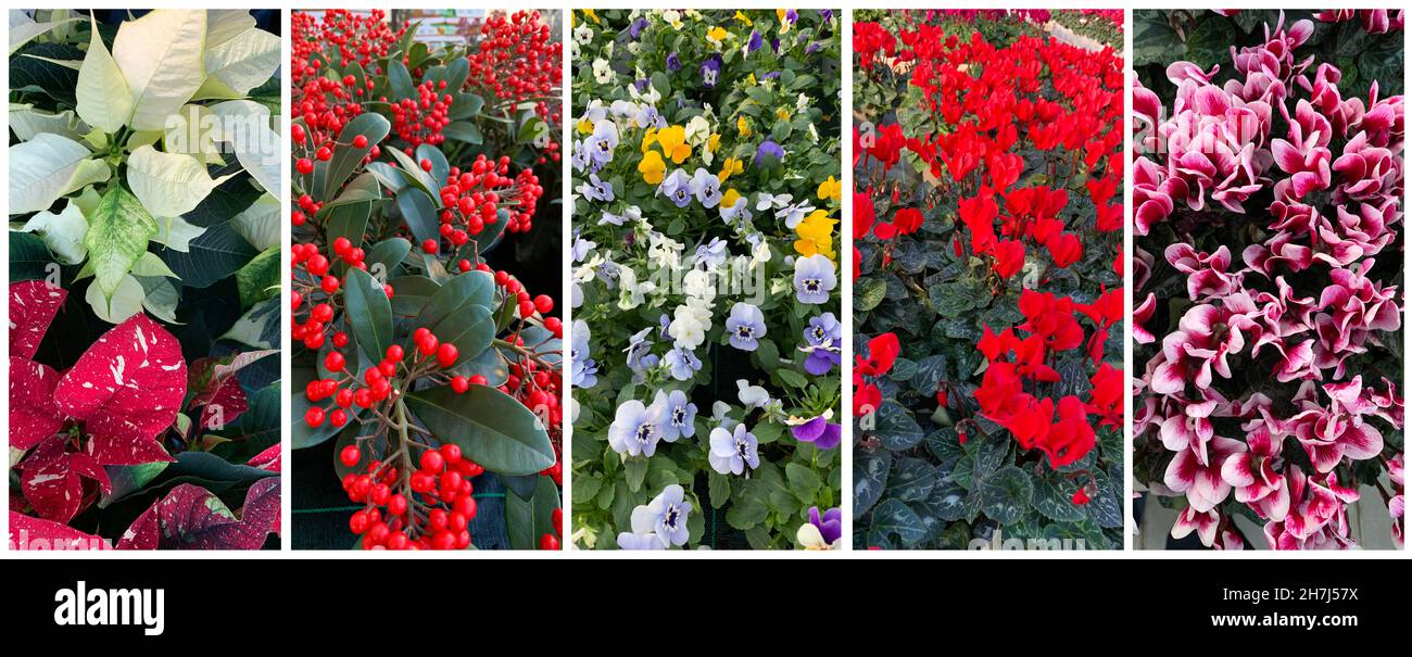 Spring flowers collage abstract art hi-res stock photography and images ...