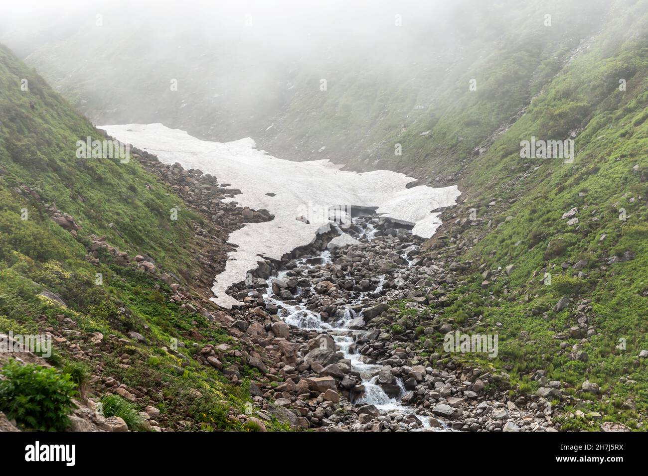 Spring in Tunca Valley Nature Park, Rize, Turkey Stock Photo - Alamy