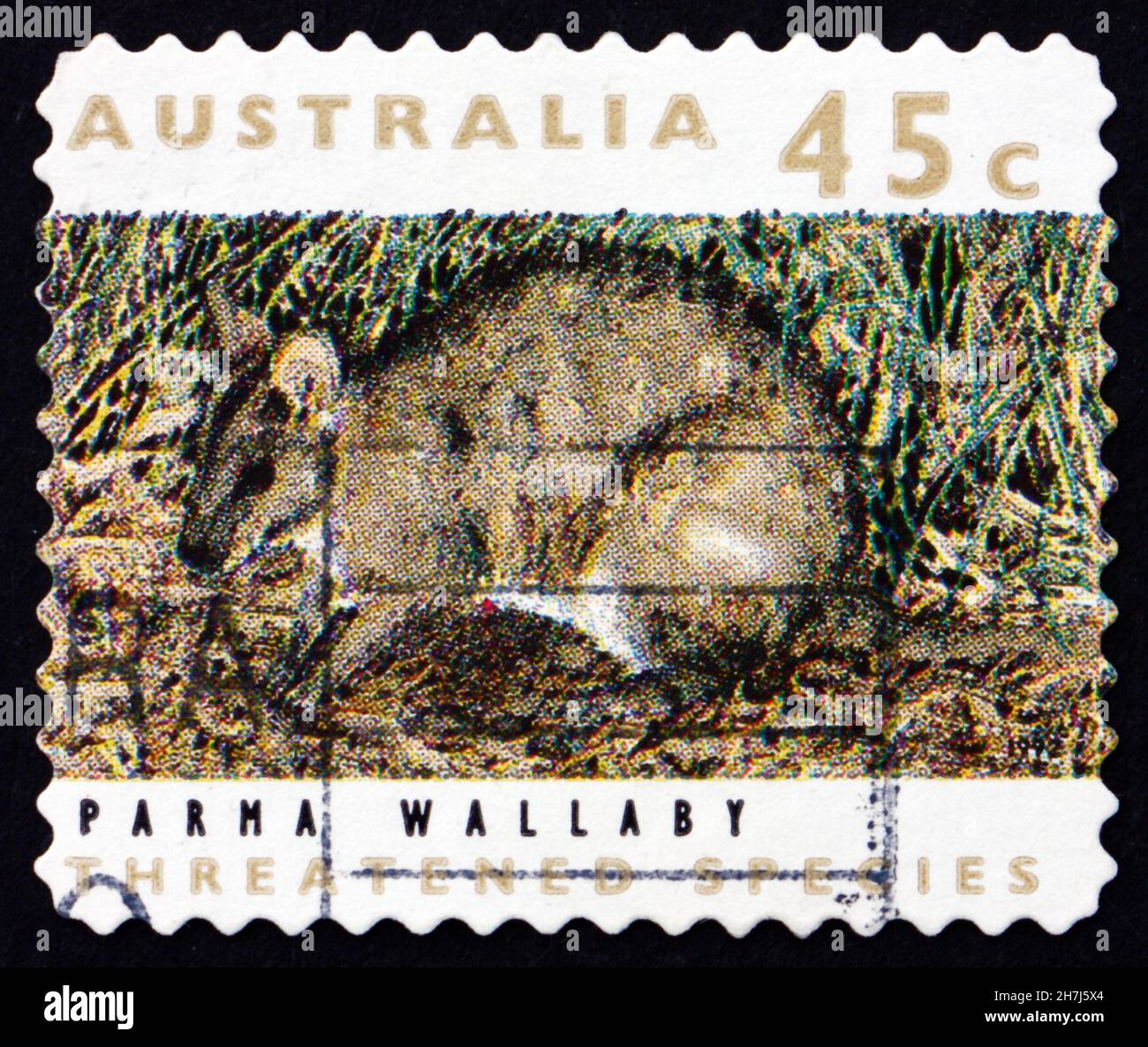 AUSTRALIA - CIRCA 1992: a stamp printed in the Australia shows Parma ...