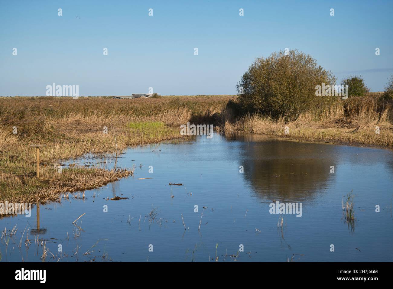 Titchwell Marsh RSPB reserve, looking towards the Parrinder hide from ...
