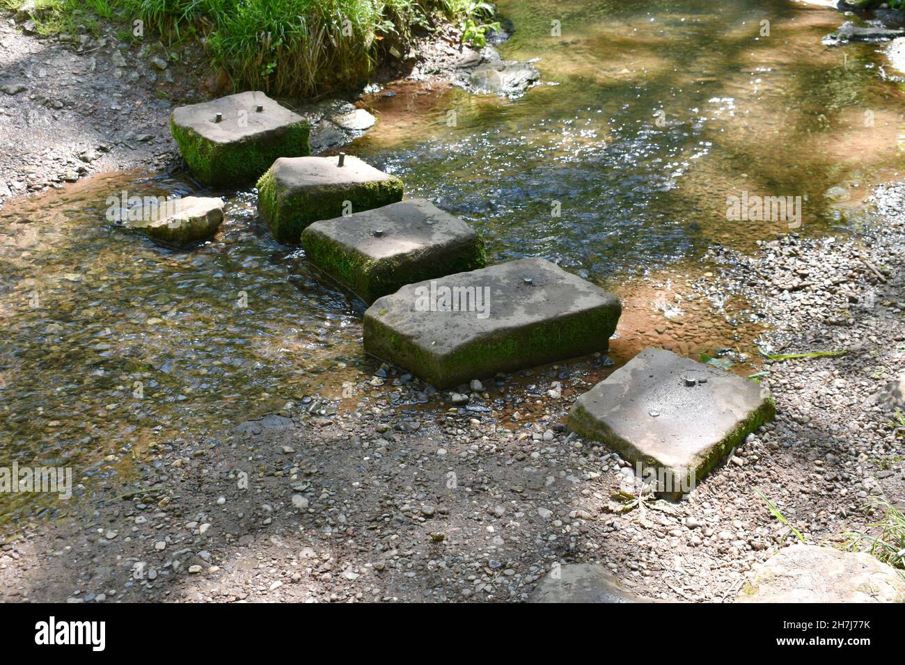 close up of rectangle shaped stepping stones over a stream in the woods ...