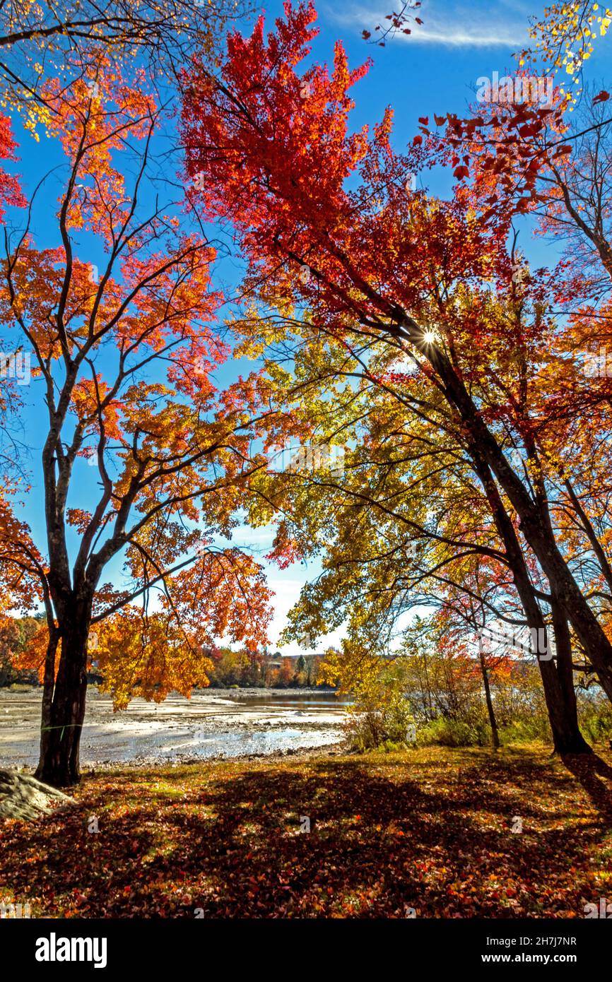 Lake Wallenpaupack in Poconos PA on a bright fall day lined with trees ...