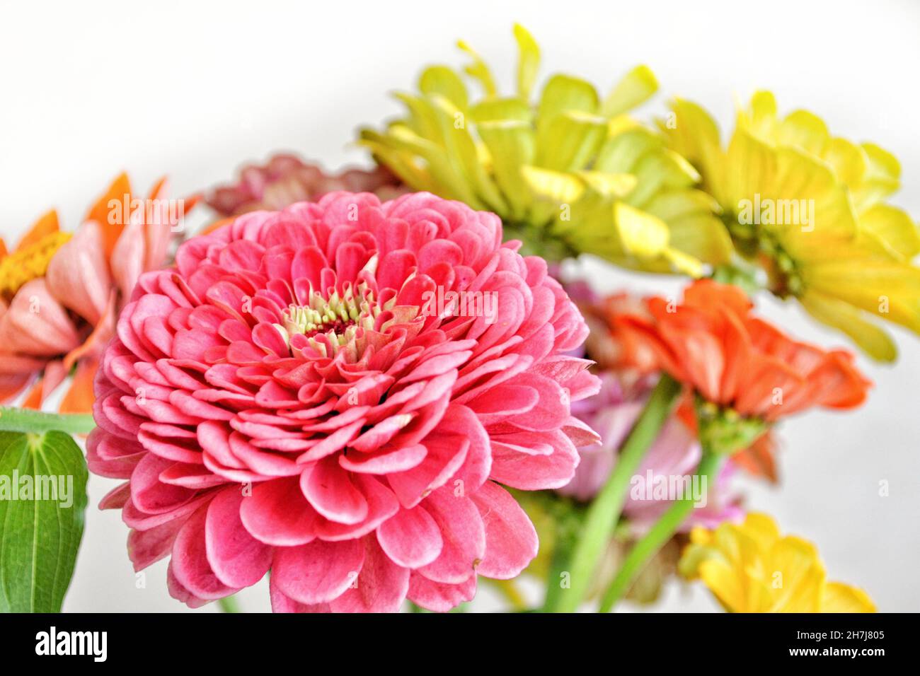 Mix flowers bouquet hi-res stock photography and images - Alamy