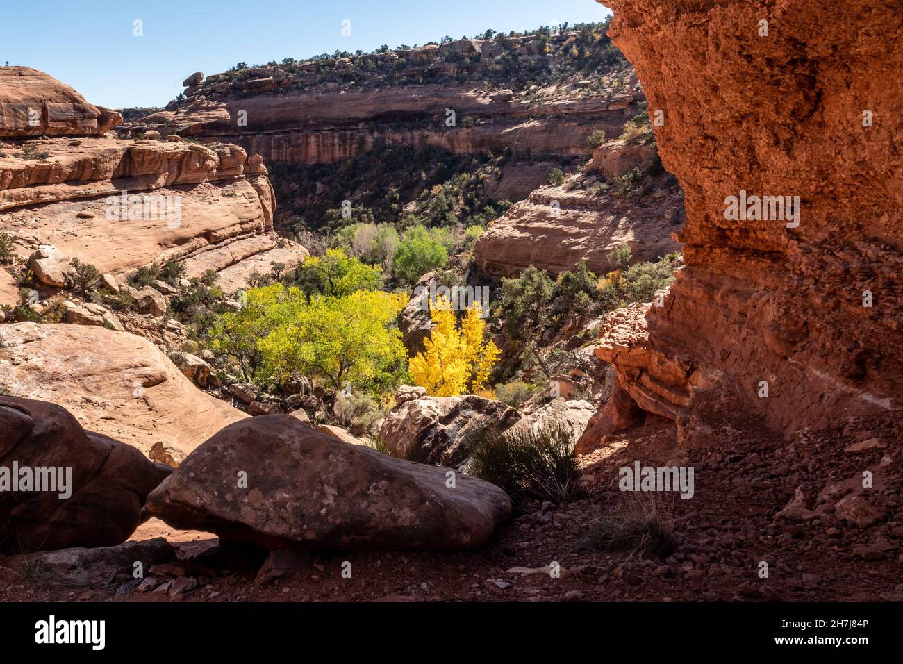 Moon House, Bears Ears National Monument, Utah Stock Photo - Alamy