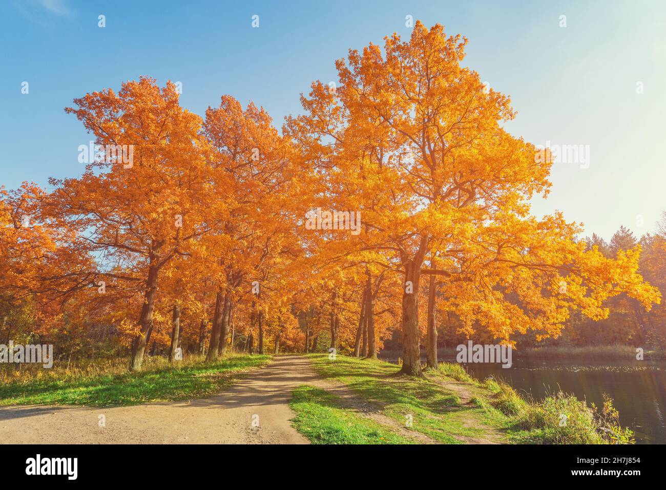 View of the city park at autumn morning time Stock Photo - Alamy