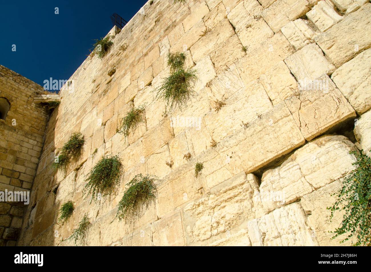 The Jerusalem Wailing Wall, close view. Ancient stones of Jerusalem ...
