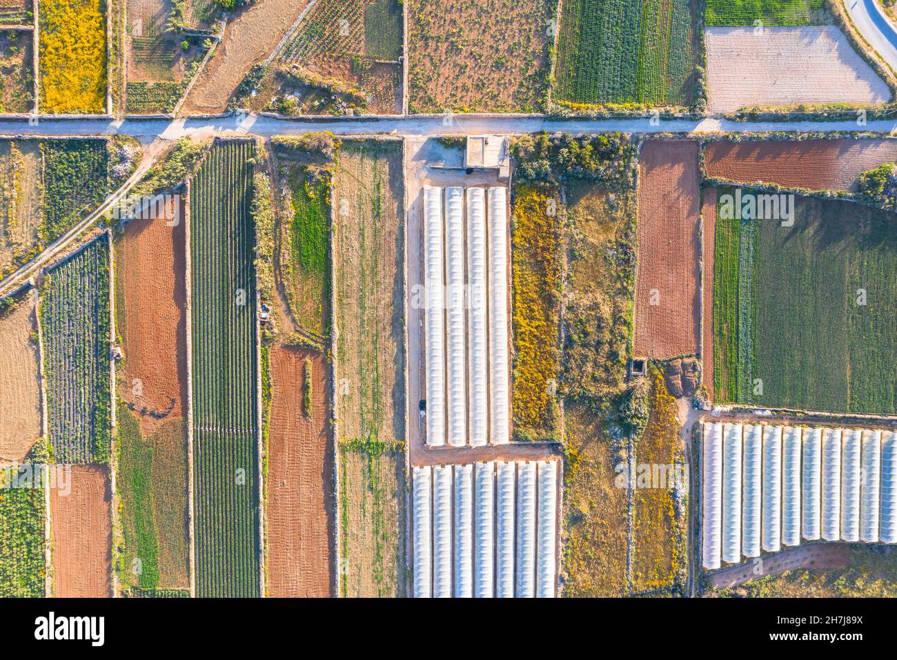 Aerial view of the various fields of crops and greenhouses plants Stock ...