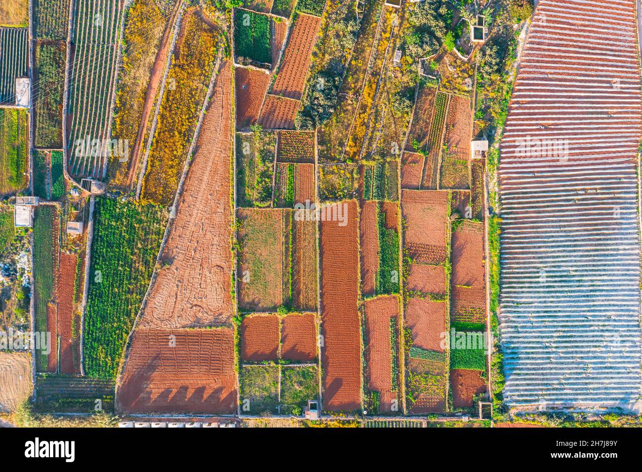 Aerial view of the various fields of crops and greenhouses. Concept of ...