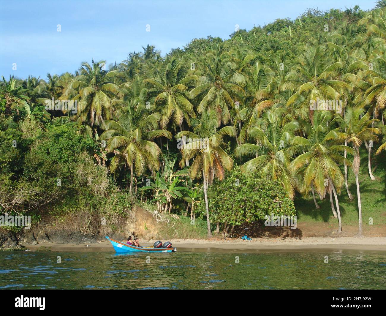 Flora de venezuela hi-res stock photography and images - Alamy
