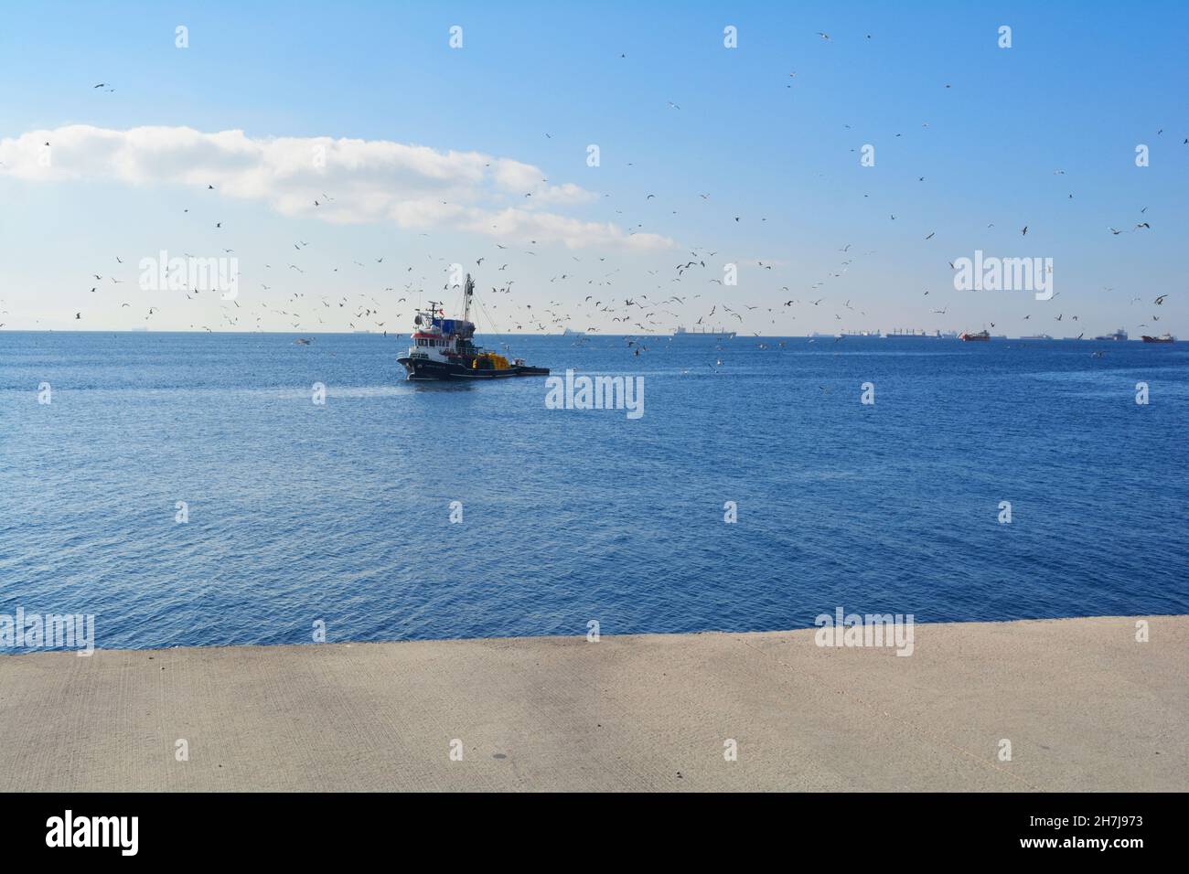 Istanbul, Turkey - November 2021: Fishing boat surrounded by seagulls ...