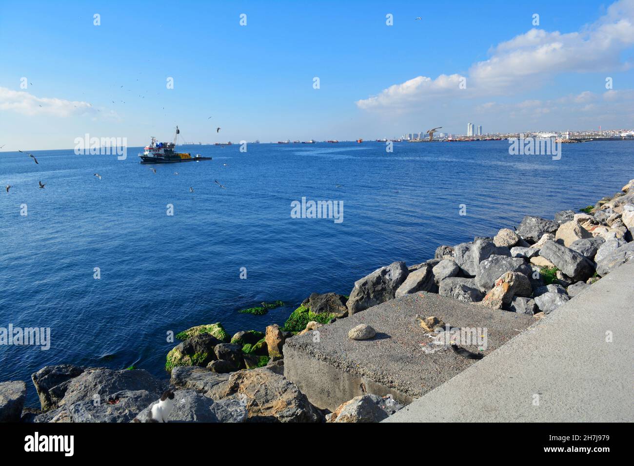 Yenikapi boat hi-res stock photography and images - Alamy