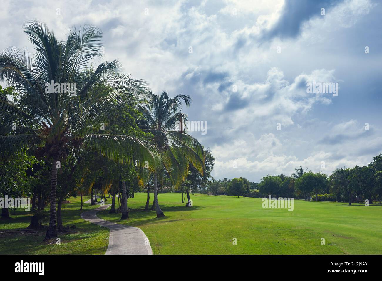 Golf course in Dominican republic. field of grass and coconut palms on ...
