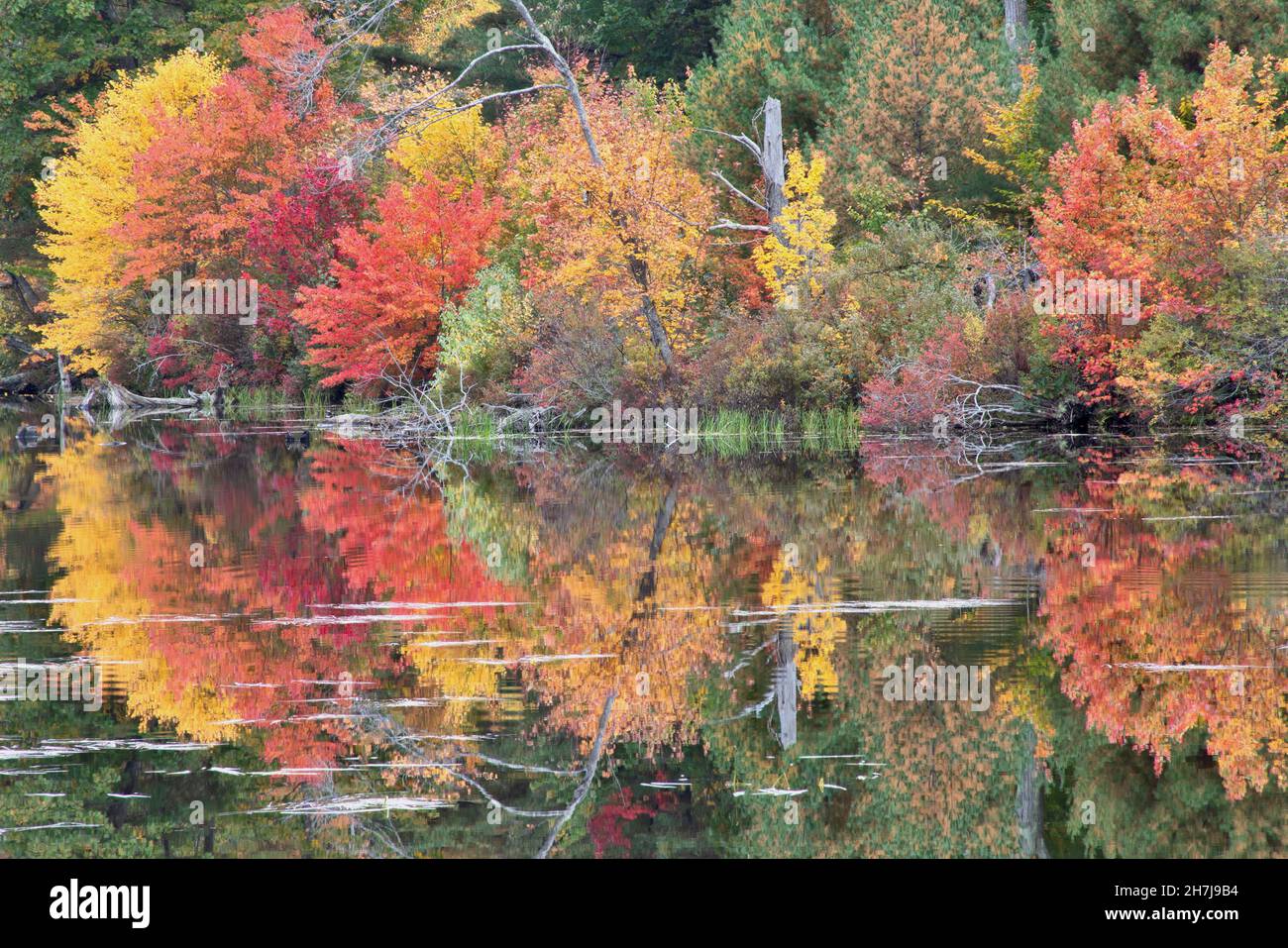 Peaceful Fall Images