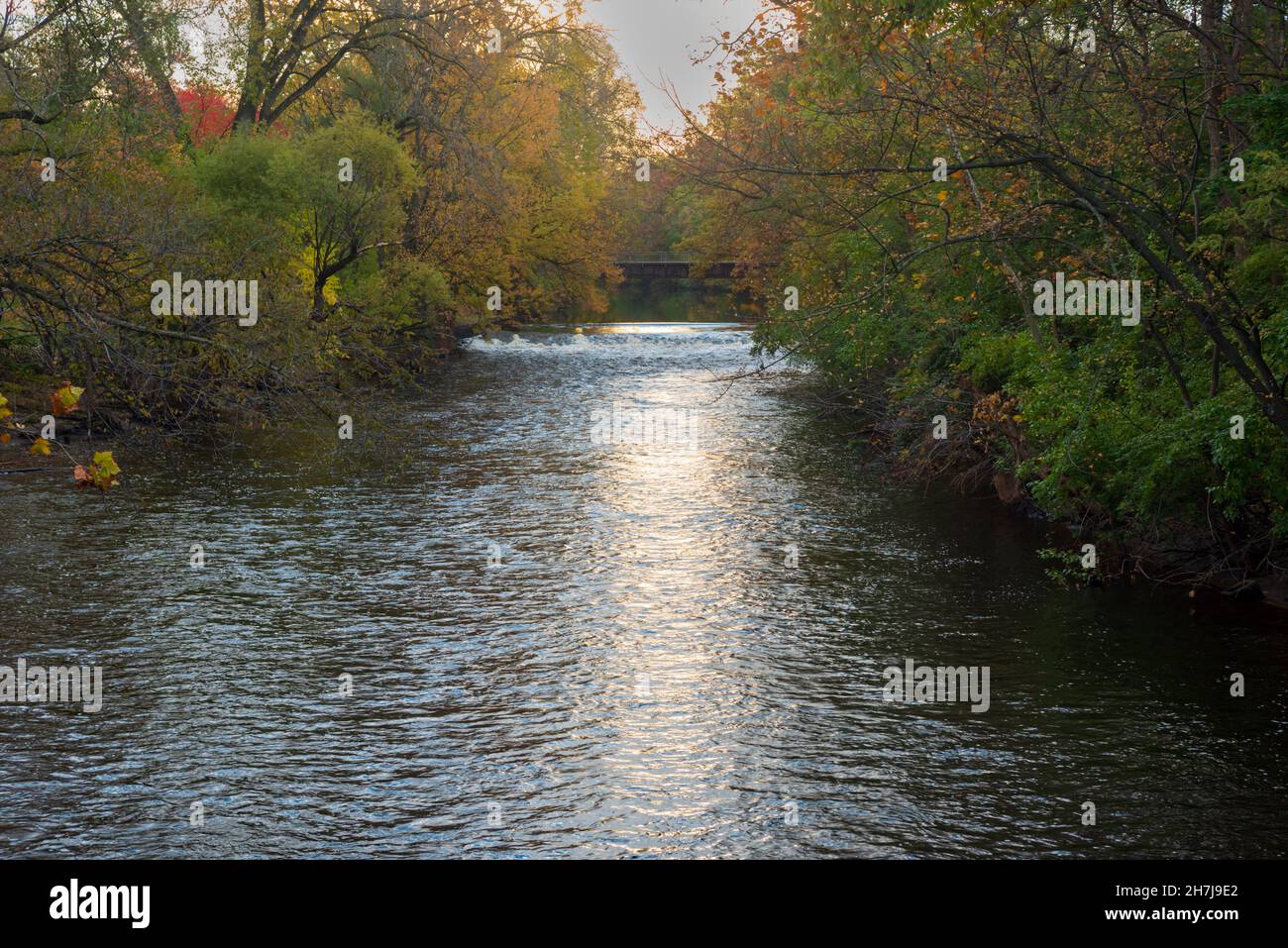 Red cedar river, michigan hi-res stock photography and images - Alamy