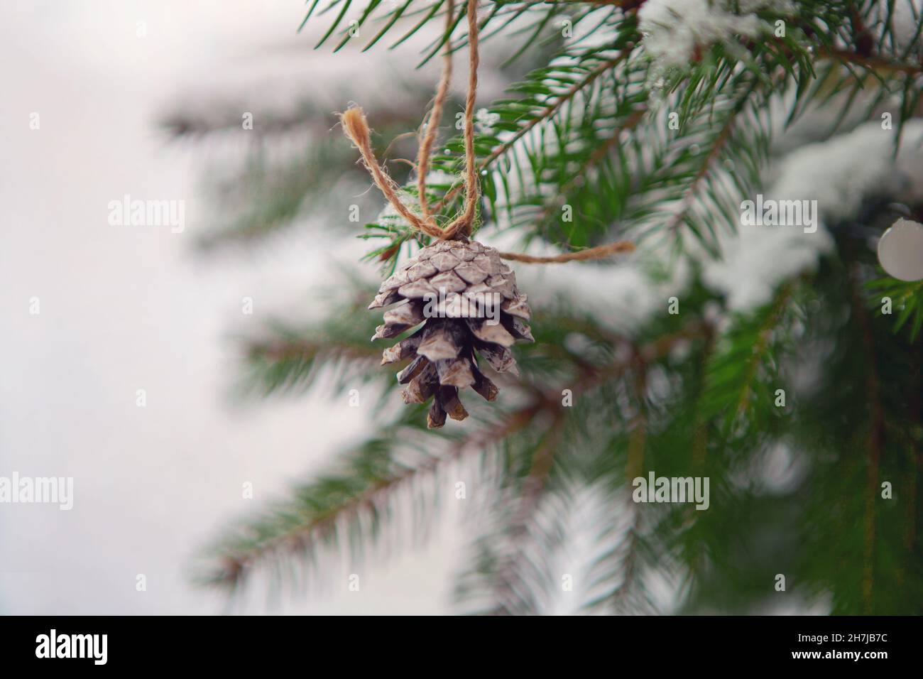 pine cone with rope on christmas tree. snow and winter time. Christmas ...