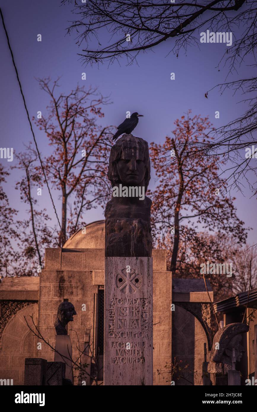 Crow cemetery hi-res stock photography and images - Alamy