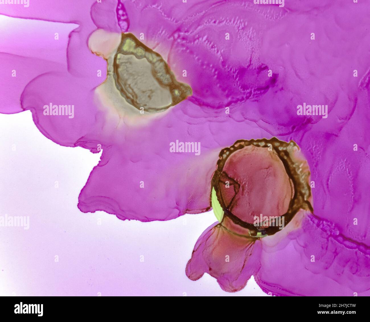 Ethereal Paint Texture. Liquid Ink Wash Stock Photo - Alamy