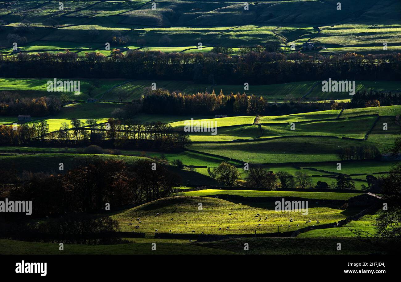 Neil bainbridge hi-res stock photography and images - Alamy