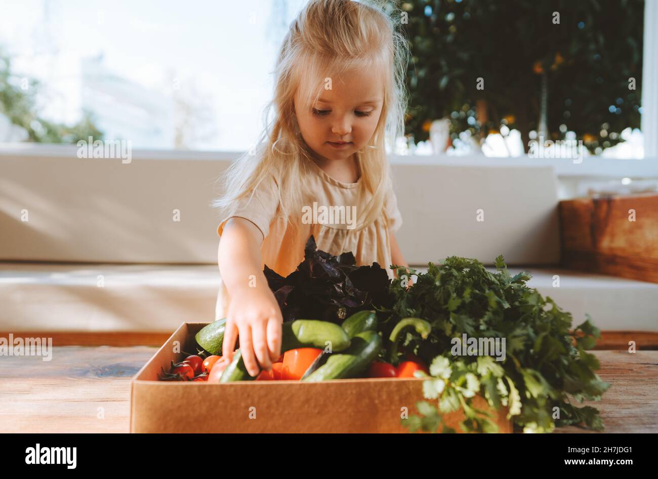 Child with vegetables harvest vegan healthy food eating lifestyle ...