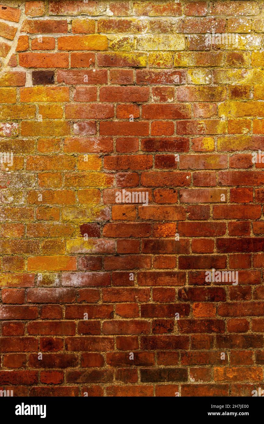 Detail of a red brick wall with some bricks in yellow, Ludlow ...