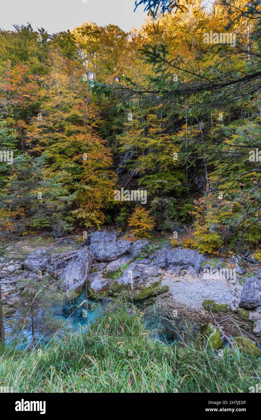 Panorama and details of the Slizza ravine in Autumn. Tarvisio Stock ...