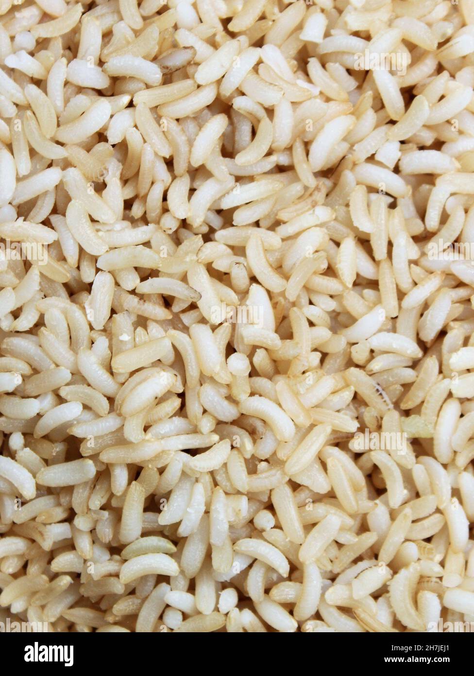 a bunch of white cooked rice grains close up Stock Photo - Alamy