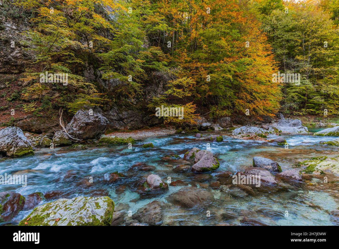 Panorama and details of the Slizza ravine in Autumn. Tarvisio Stock ...