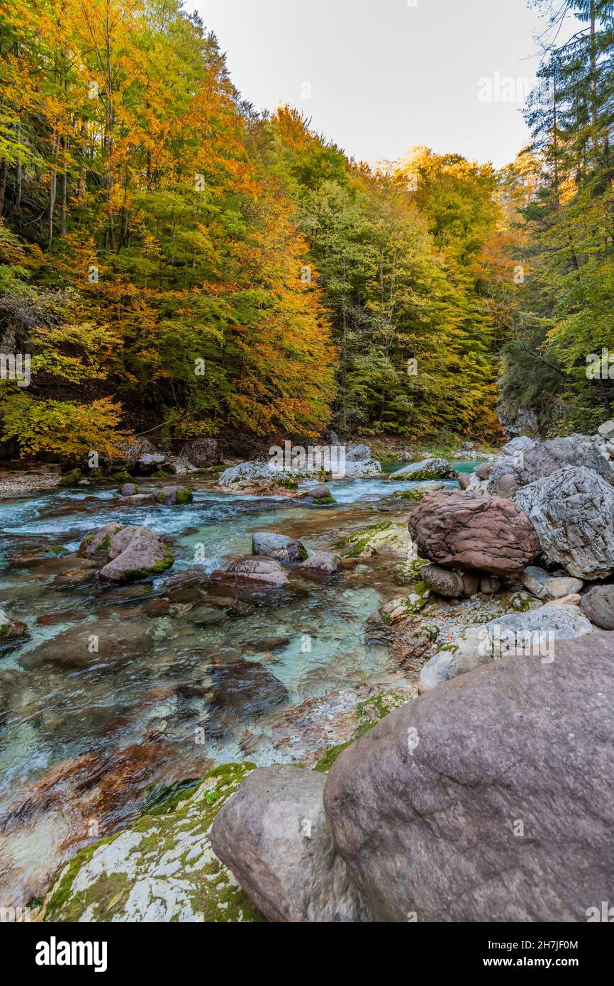 Panorama and details of the Slizza ravine in Autumn. Tarvisio Stock ...
