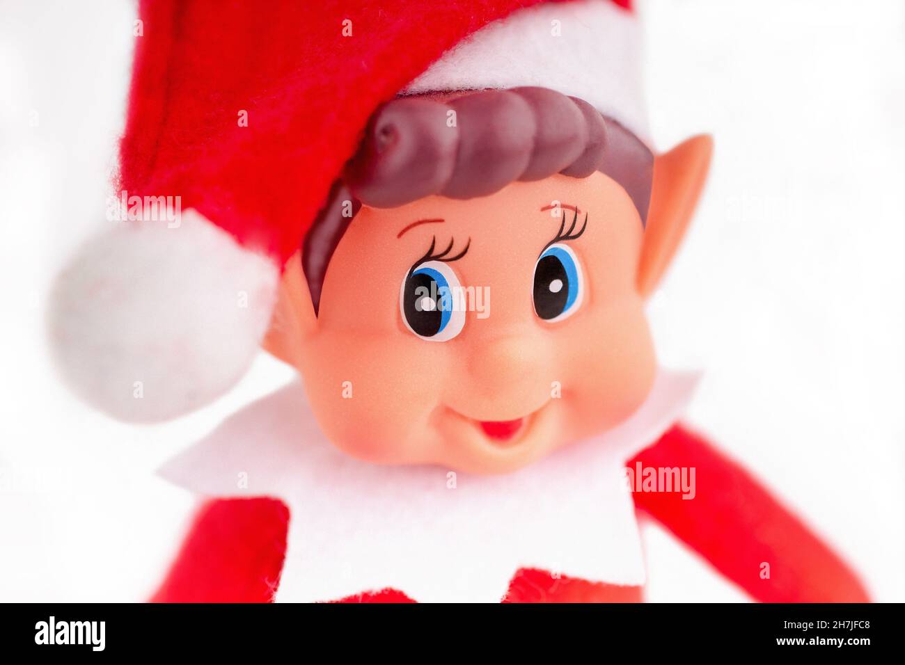 Christmas Elf toy face close up on a white background. Christmas spirit ...