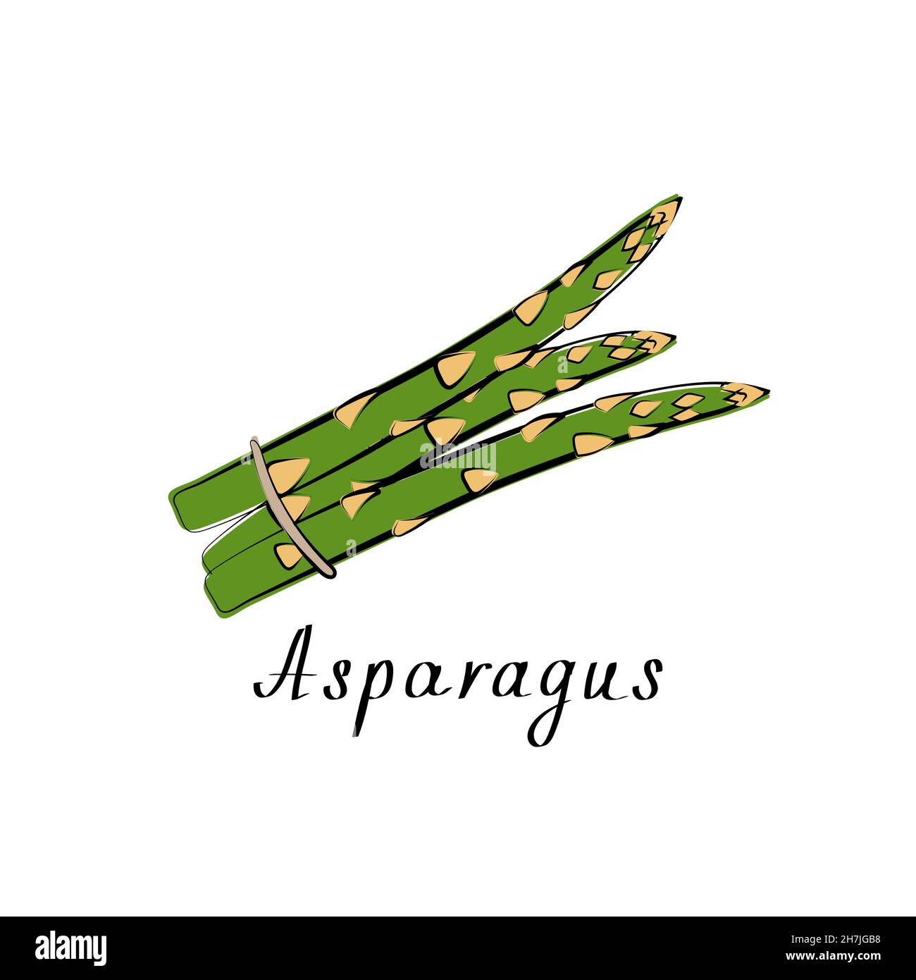 Asparagus logo. Vegetable icon. Vector flat illustration Stock Vector ...