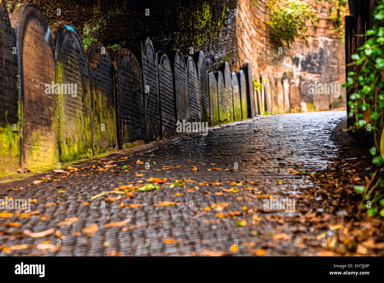 St James's Cemetery with names on gravestone along pathway Stock Photo ...